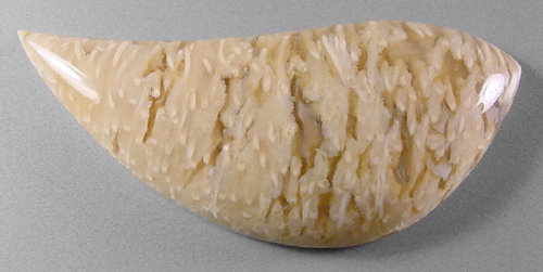 PETRIFIED PALM designer cab! Silverhawk's designer gemstones.